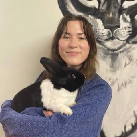 Veterinarian In Pittsfield, MA 01201 | Berkshire Veterinary Hospital